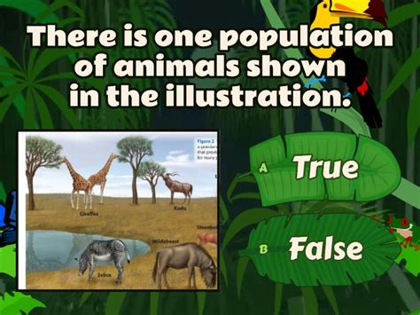 Ecosystem Quiz Test