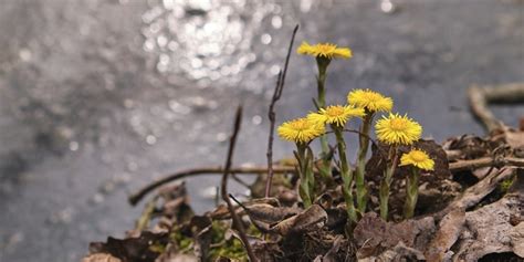 Introducing The Develop Branch Of The Syslog Ng Git Repo Blog