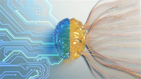 Beyond The Hype The Future Of Brain Computer Interfaces