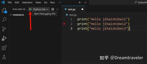 10分钟搞定！vs Code配置python开发环境指南（2025新版） 知乎