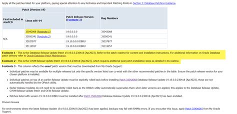 Oracle EBS Database Upgrade From 12c To 19c Part 1 SyedSaadAli