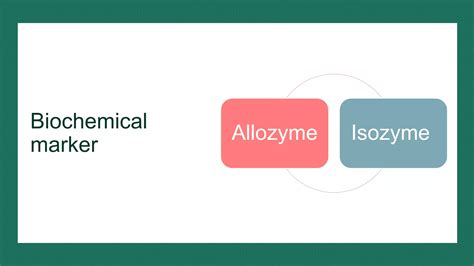 Marker Assisted Breeding Markers Pptx