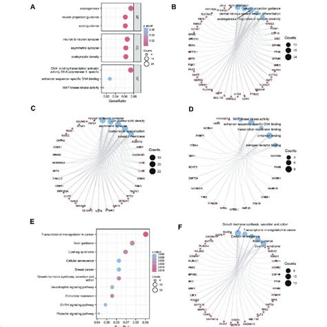 Functional Correlation Analysis Of Degs A Functional Enrichment
