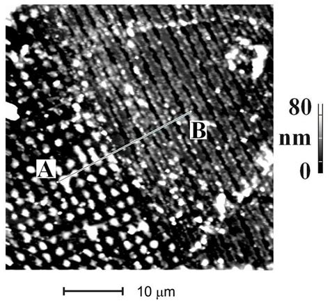 Afm Scan Of Etched Raster Structure On Al Covered Glass Substrate Download Scientific Diagram