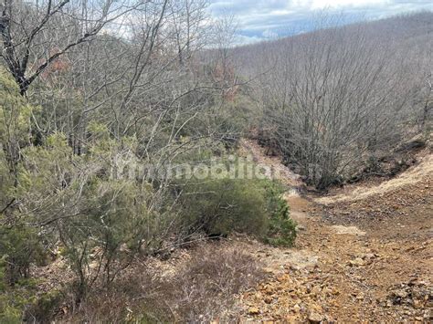 Terreno Agricolo Strada Provinciale Boccheggiano Montieri Rif