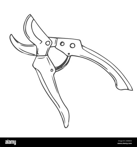 Pruning Shears Cut Tree Stock Vector Images Alamy