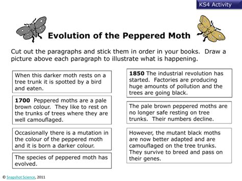 Peppered Moth Evolution Ks4 Activity Worksheet