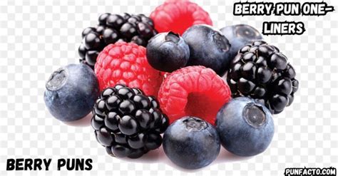 Berry Puns 190 Fun And Playful Jokes To Brighten Your Day Punfacto