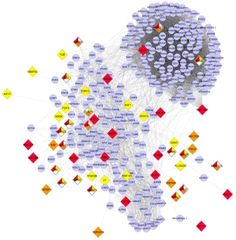 Interactions Network Breast Cancer Subtypes Diamond Nodes Are Seed