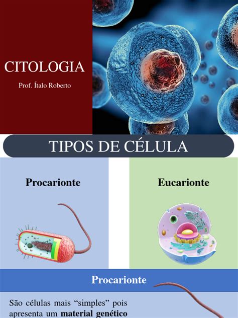 Citologia Pdf Célula Biologia Citoplasma