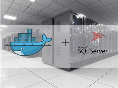 Install Sql Server Docker Container On Linux Cloudiq Tech