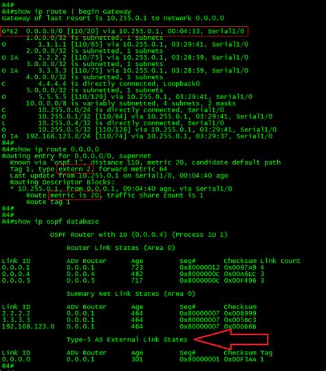 Ospf Default Routing Rands Journey