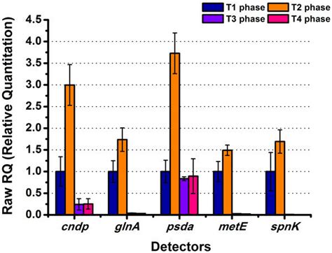 Qrt Pcr Analysis Of Selected Key Transcripts Qrt Pcr Was Used To Download Scientific Diagram