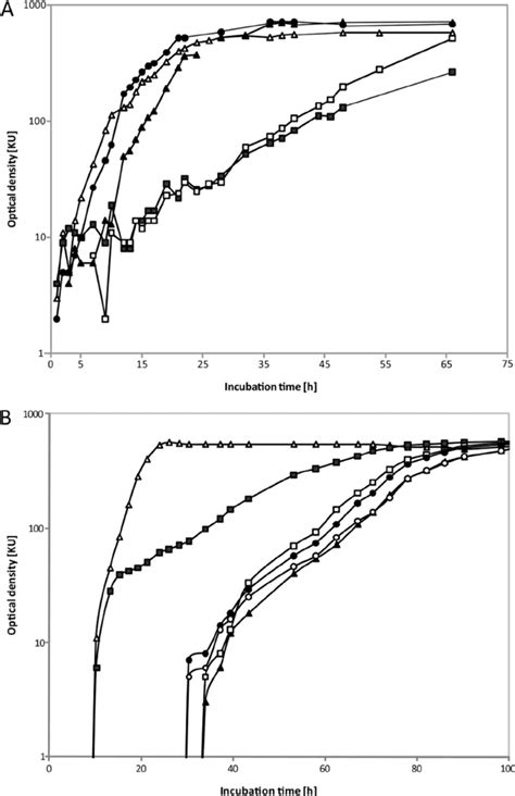 Growth Of Recombinant R Eutropha Strain H16 A Recombinant Strains Download Scientific