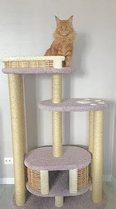 Купить игровой комплекс для Мейн-Куна и других крупных пород кошек в ...