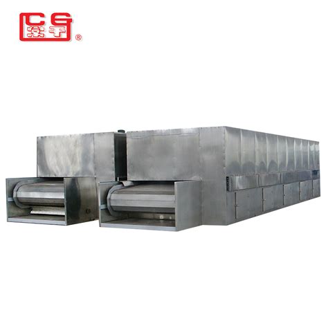 Dw Model Continuous Algae Belt Drying Machine China Vegetable