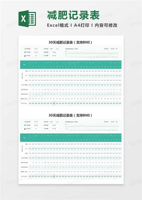 Bmi Excel