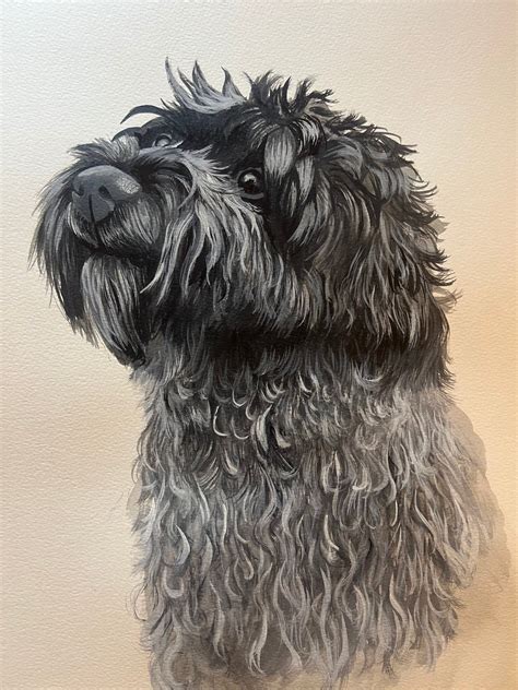 Black Cockapoo Pet Portrait From Photo Acrylic And Watercolour Pet