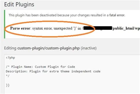 why you should create a wordpress custom plugin for code