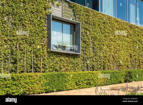 Sustainable Building Examples