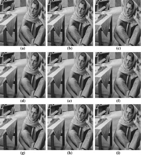 Visual Results Of Different Denoising Algorithms For Barbara Image A
