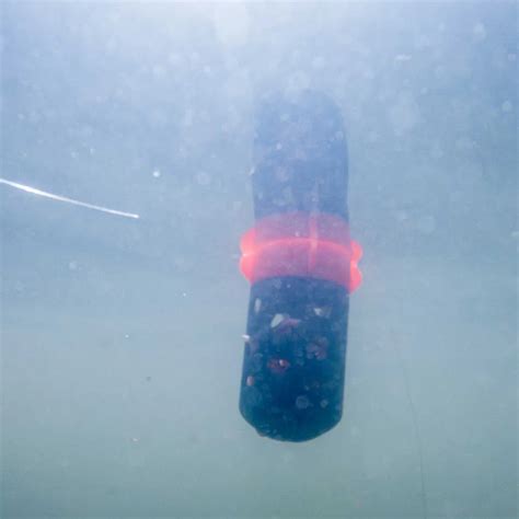 Korum Floating Feeder Korum Floating Feeder