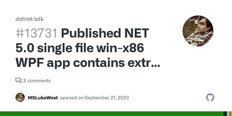 Published NET 5 0 Single File Win X86 WPF App Contains Extra Files And
