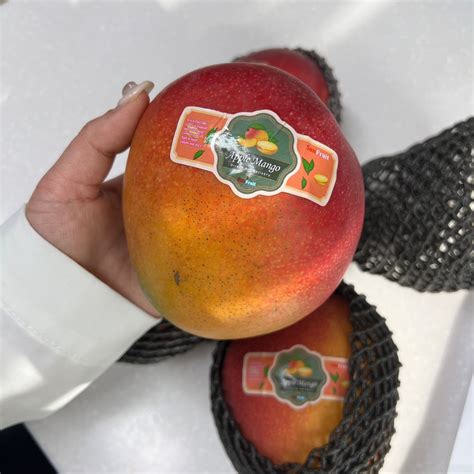 헤이쥬드ㅣ생활템ㅣ리빙제품ㅣ공구블로거 애플망고 헤이쥬드공구 2년만에 보여드리는 애플망고예요 식구들이 과일을 엄청 좋아해서 정말 많이 사먹거든요 올해 벌써 애망을