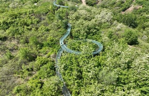 敬业旅游区开启一元畅游四大景区模式景区精心准备 迎接暑期旺季 极目新闻