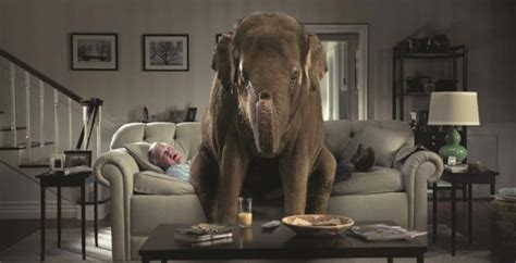 UN ELEFANTE EN LA HABITACIÓN DEMASIADA MEDICINA EN LA PRÁCTICA
