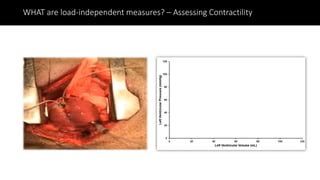 Cardiac PV Loop Data Analysis Tips Tricks PPTX