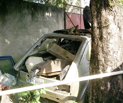 Fiat Carros Inúteis