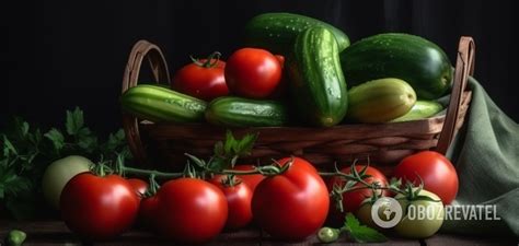 Як виростити помідори огірки перець в горщиках лайфхак Oboz Ua