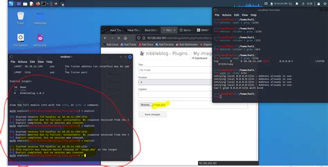 Solved Metasploit Exploits Cant Bind To My Ip Metasploit Hack The Box Forums