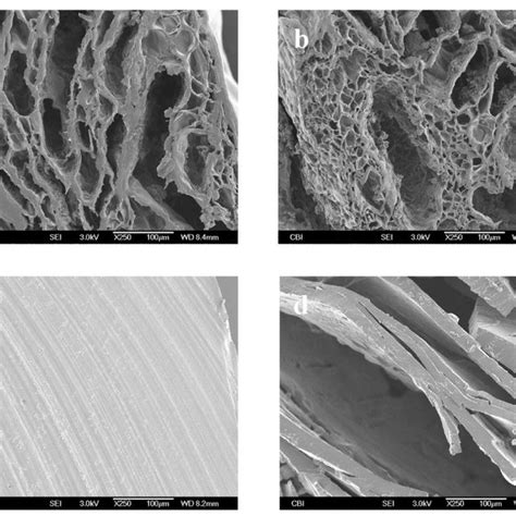 Pdf Novel Multi Arm Peg Based Hydrogels For Tissue Engineering