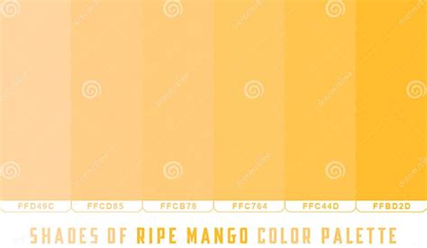 Ripe Mango Tone Color Shade Background With Code And Name Illustration