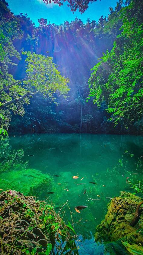 Photo Gallery อุทยานฯ ถ้ำผาไท เผยภาพ “หล่มภูเขียว” บ่อน้ำมหัศจรรย์กลางป่าใหญ่แห่งลำปาง