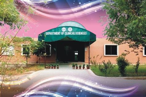Faculty Of Veterinary Sciences Bahauddin Zakariya University Multan
