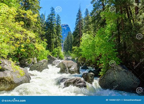Paisaje Del Río Merced En El Parque Nacional Yosemite Rapidales Para