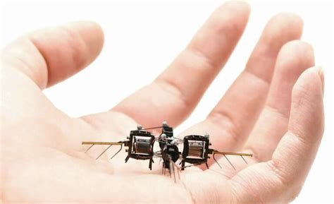 Mit Unveils New Robot Insect Paving The Way Toward The Rise Of Robotic