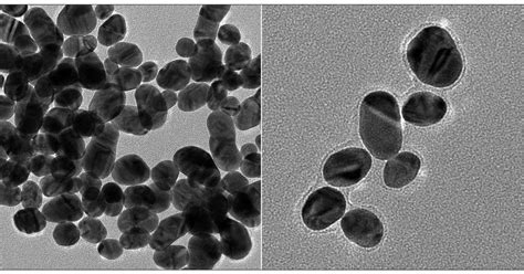 Sensitive Chemiluminescence Immunoassay By Capillary Electrophoresis With Gold Nanoparticles