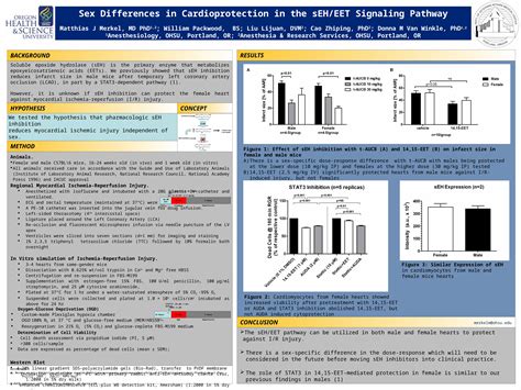 Pptx Sex Differences In Cardioprotection In The Seh Eet Signaling