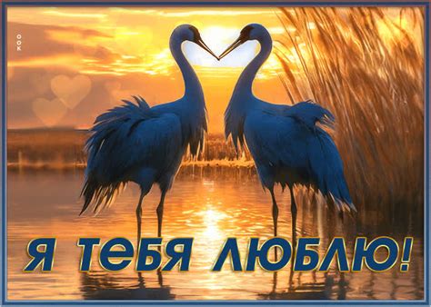 Элегантная и изысканная гиф открытка Я тебя люблю Скачать бесплатно на