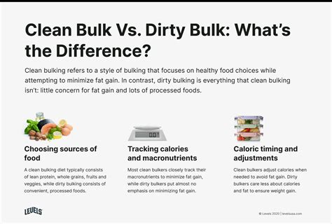 Clean Bulk vs. Dirty Bulk: Pros and Cons (Plus How to Choose) - Levels
