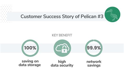 Pelican Ensure Data Security With 999 Network Saving During Data Validation Datametica