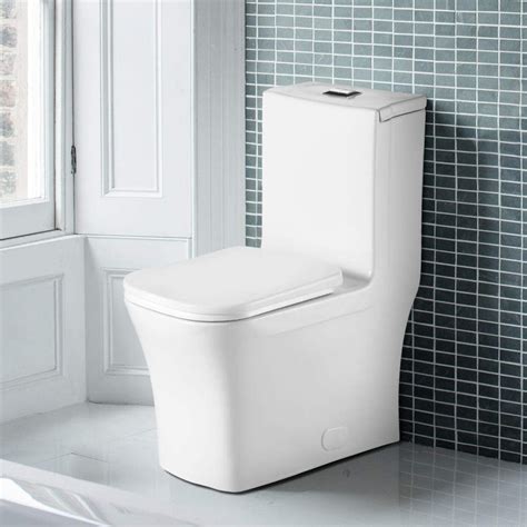 Top 5 Toilets At Steve Bushnell Blog