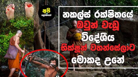 නකල්ස් රක්ෂිතයේ බවුන් වැඩූ ඩෙන්මාර්කයේ භික්ෂුවට මොකද උනේ Youtube