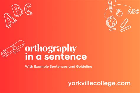 How To Use Orthography In A Sentence Easy Examples