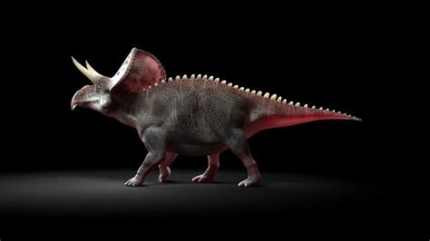 Imágenes De Zuniceratops Descubre Bancos De Fotos Ilustraciones