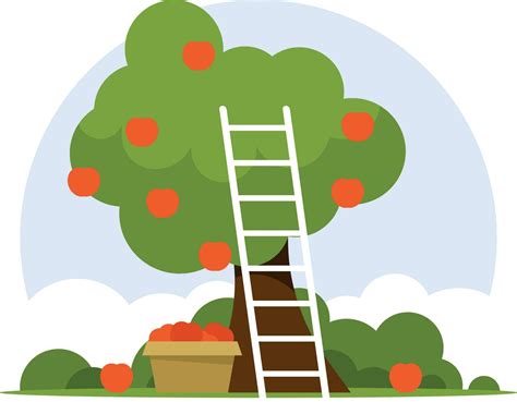 Apple Orchard Isolated Background 24078033 Vector Art At Vecteezy